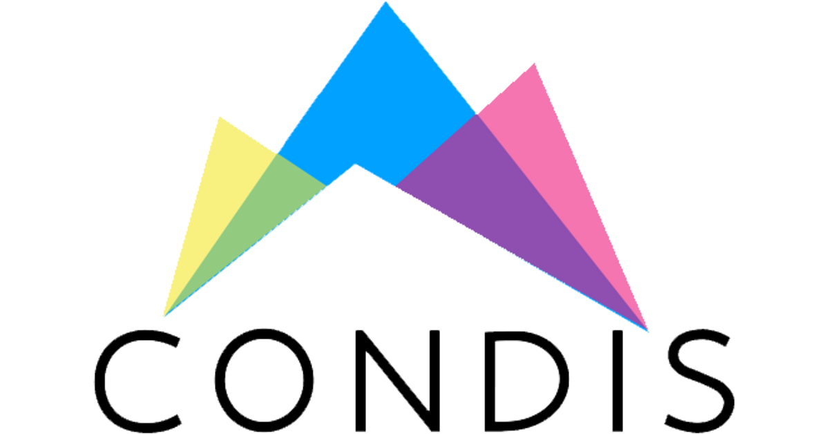 L'originale set di costruzioni magnetiche di CONDIS – Condistoys